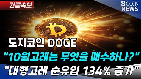 도지코인 긴급속보 10월 고래는 무엇을 매수하나 대형고래 유입률 134 증가 Youtube
