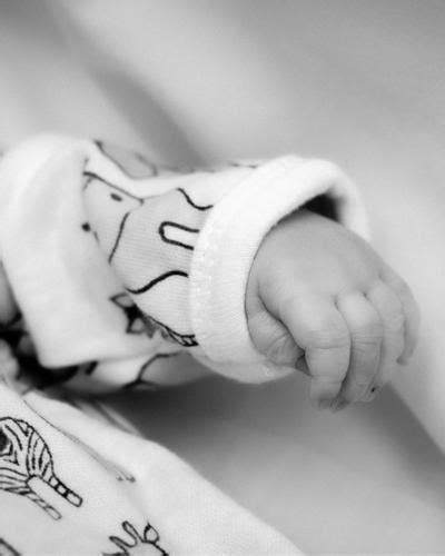 Blake M Al Muddaris Obituary 2025 Frankfort Il Kurtz Memorial Chapel Frankfort