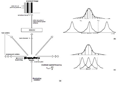 A Scanning Microscopy B Nyquist Sampling C Subsampling Download Scientific Diagram A Scanning Microscopy B Nyquist Sampling C Subsampling Download Scientific Diagram