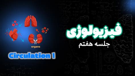 گردش خون در فیزیولوژی نحوه عملکرد سیستم گردش خون در بدن انسان Youtube