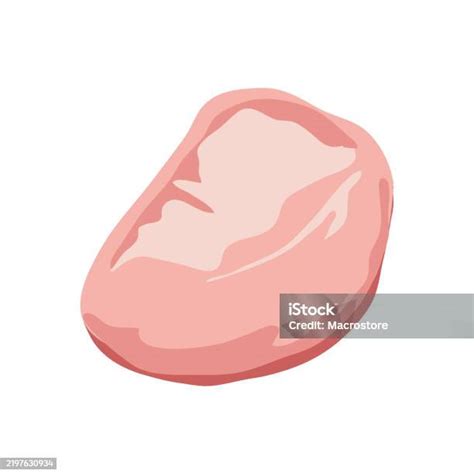 플랫 디자인의 닭고기 분홍색 익히지 않은 가금류 필레 정육점 메뉴 벡터 일러스트 레이 션이 고립되어 있습니다 가금류에 대한 스톡 벡터 아트 및 기타 이미지 Istock