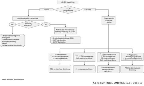 Management Guidelines For Disordersdifferent Sex Development Dsd