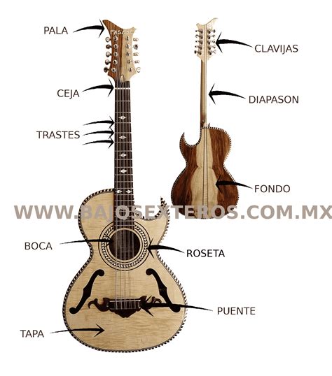 🎸 Las Notas En El Bajoquinto Guía Completa Para Entender Su Diapasón
