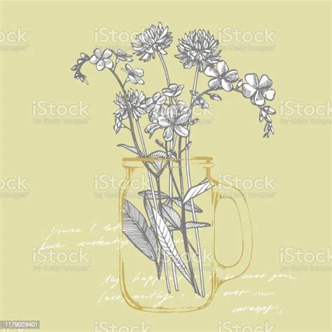 야생 식물의 가지 잊어 나 아니와 클로버 빈티지 인그레이빙 일러스트 손으로 그린 꽃과 허브의 꽃다발 식물 그림입니다 필기 추상 텍스트 0명에 대한 스톡 벡터 아트 및 기타