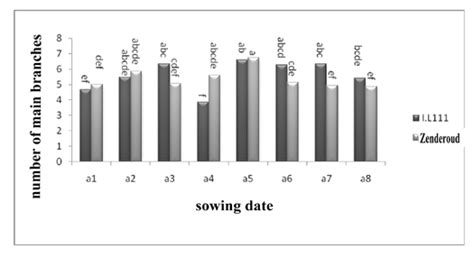Reciprocal Effect Of Sowing Date Of Cultivar On Number Of Main Branches