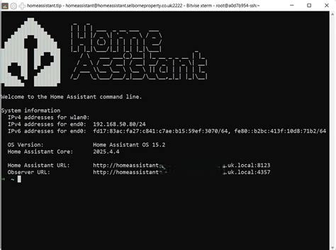 Hostname For Custom Domain Having Local Appended Preventing Access Installation Home