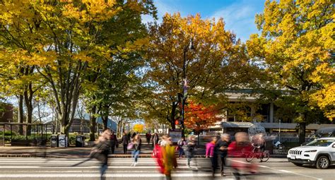 15 Free Mit Data Science Courses Build Foundational Skills With Mit