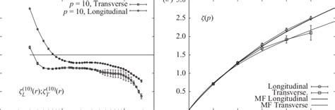 A Longitudinal And Transverse Local Scaling Exponents The Same As