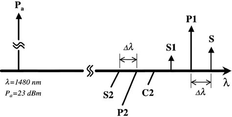 Schematic Diagram Of Wavelength Allocation In The Opp Scheme