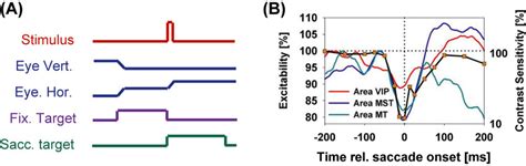 A Schematic Of The Time Course Of An Experimental Paradigm To Test Download Scientific