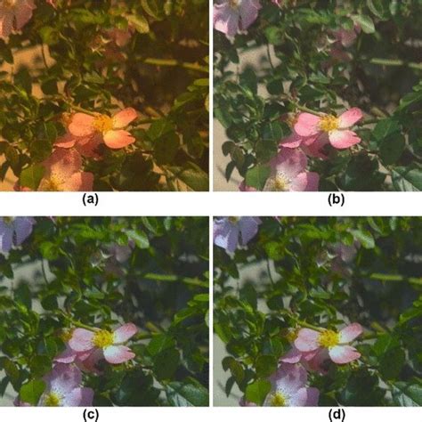 Pdf A Fast White Balance Algorithm Based On Pixel Greyness