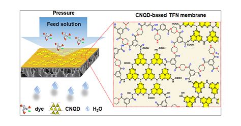 Carbon Nitride Quantum Dot Based Thin Film Nanocomposite Membranes For Efficient Dye Removal