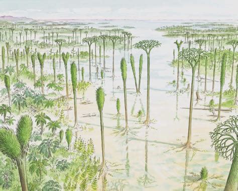 Prototaxites An Ancient Giant Fungi Svamp