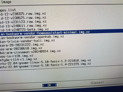 home assistant install from oowow os library edge2 khadas community