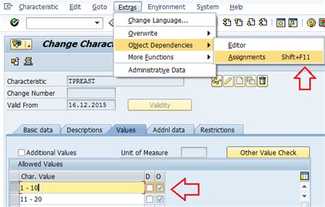 Solved Assign Interval Multiple Value Into Characteristic Sap Community