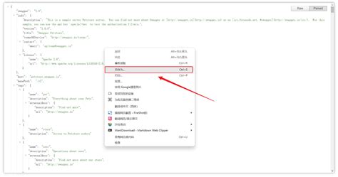 如何将 Swagger 导出为 Json、markdown、pdf、word 文档