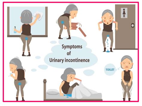 Stress Urinary Incontinence Sui Dr Sharda Jain Pptx
