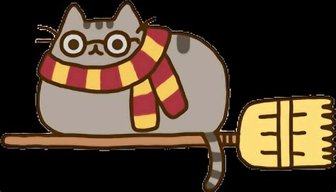 Download Pusheen Harry Potter Costume