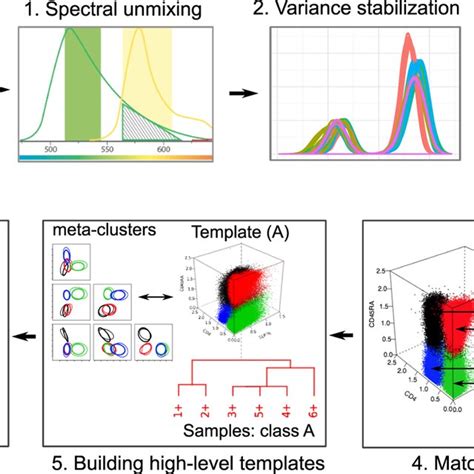 In Our View Six Major Steps Are Involved In The Fc Data Analysis An Download Scientific