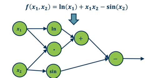 Module Lesson NN Flashcards Quizlet