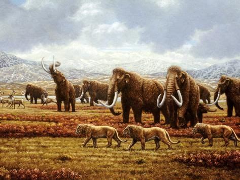 900 Prehistoric Wildlife Art Ideas Prehistoric Wildlife Prehistoric