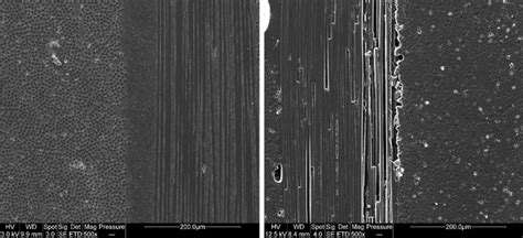 Sem Pictures Of The Microstructure Of Cf Ve Left And Cf Elium™ Download Scientific