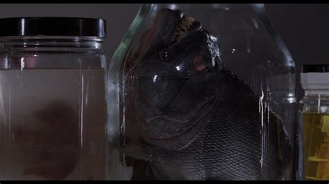 DoBlu Com 4K UHD Blu Ray Reviews Piranha 1978 4K UHD Review