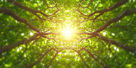 The Tree As A Symbol Of Interconnected Information Branches Forming A