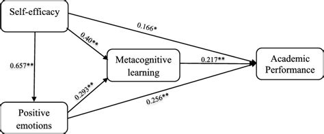 Relationships Between Academic Self Efficacy Learning Related Emotions And Metacognitive