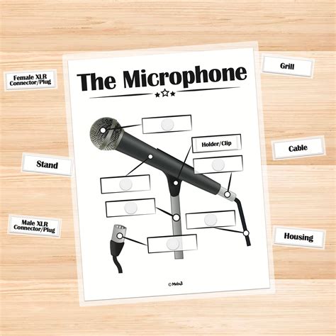 Parts Of A Microphone And Their Functions At Gary Briscoe Blog
