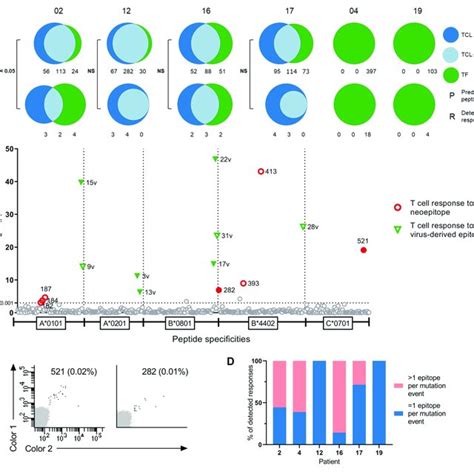 Correlation Between T Cell Diversity Functionality And Download