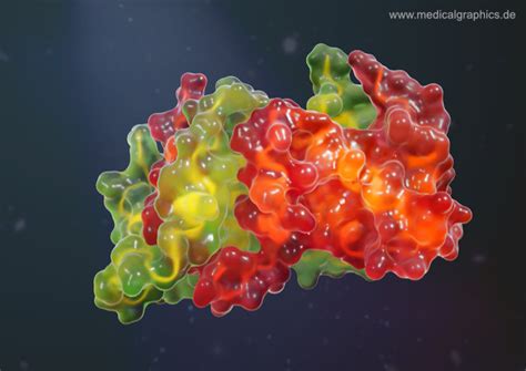 Free Illustration Interferon Beta Dark