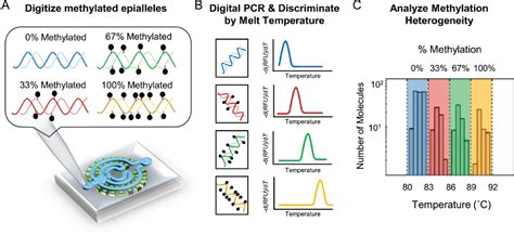 Figure 1 From Multilayer Microfluidic Array For Highly Efficient Sample Loading And Digital Melt