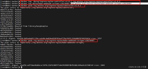 k8s 9 ingress nginx