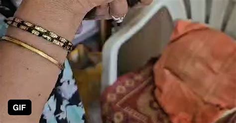 A Short And Witty Kitty 9gag