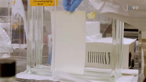 Thin Layer Chromatography Based Enzyme Activity Assay A Technique To Determine In Vitro