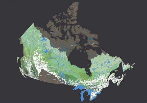 Mapping Canadas Intact Forests Canadian Geographic