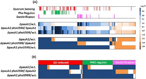 Heat Map Representation Of Differential Expression Profiling In P Download Scientific Diagram
