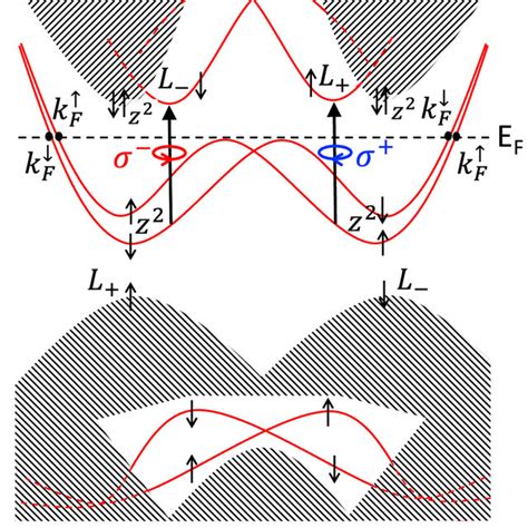 Schematic 1d Defect Bands Indicating The Rashba Spin Splitting And