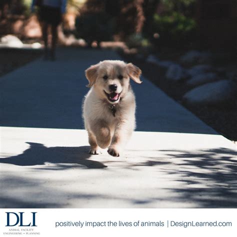 Sayali Tanpure Posted On Linkedin