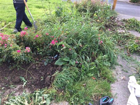 Flower Bed Weeding In Riverwood Chase Riverwood Residents Association