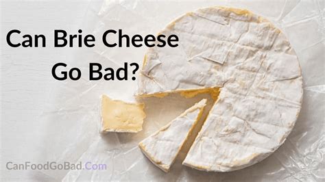 Can Brie Cheese Go Bad Storage Tips How To Tell If Brie Cheese Is