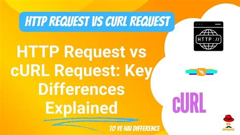 Key Differences Between Software And Websites Explained