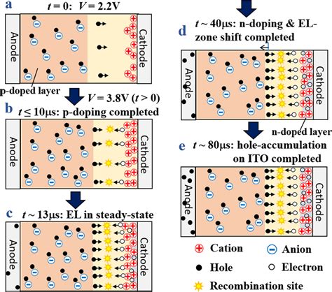Schematic Of Operation Dynamics Of LEC Taking The Experimental Download Scientific Diagram