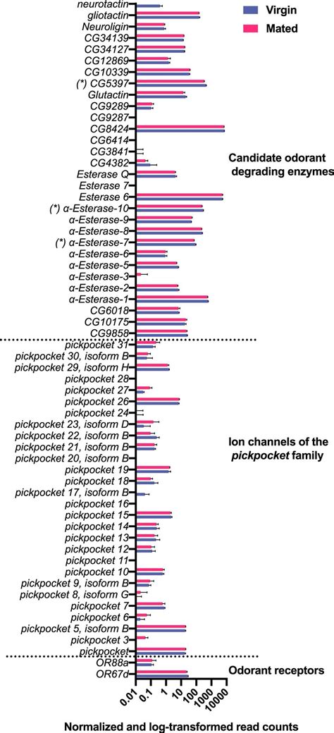 Expression Of Transcripts Potentially Modulating Neuronal Download