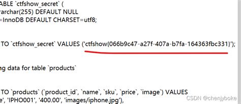 Ctfshowweb入门）（17~）ctfshow萌新web17 Csdn博客