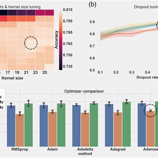 Examples Of The CNN Hyperparameter Tuning A Accuracy Variations Download Scientific Diagram