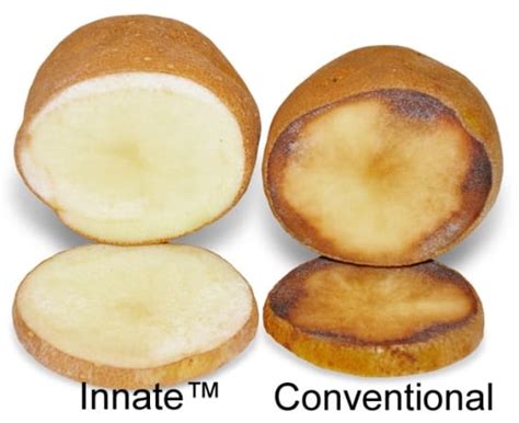 Will Simplots Innate Gmo Potato Take Off Mcdonalds Has Spoken