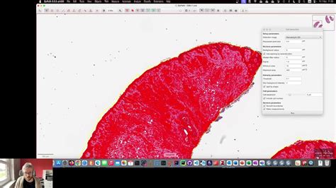 minimize computational time with pixel classifier within cell