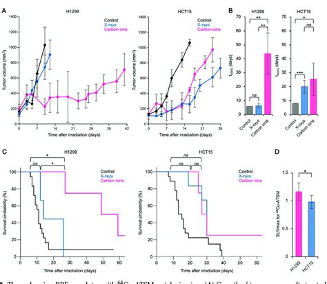 The Carbon Ion Rbe Correlates With 64 Cu Atsm Uptake In Vivo A